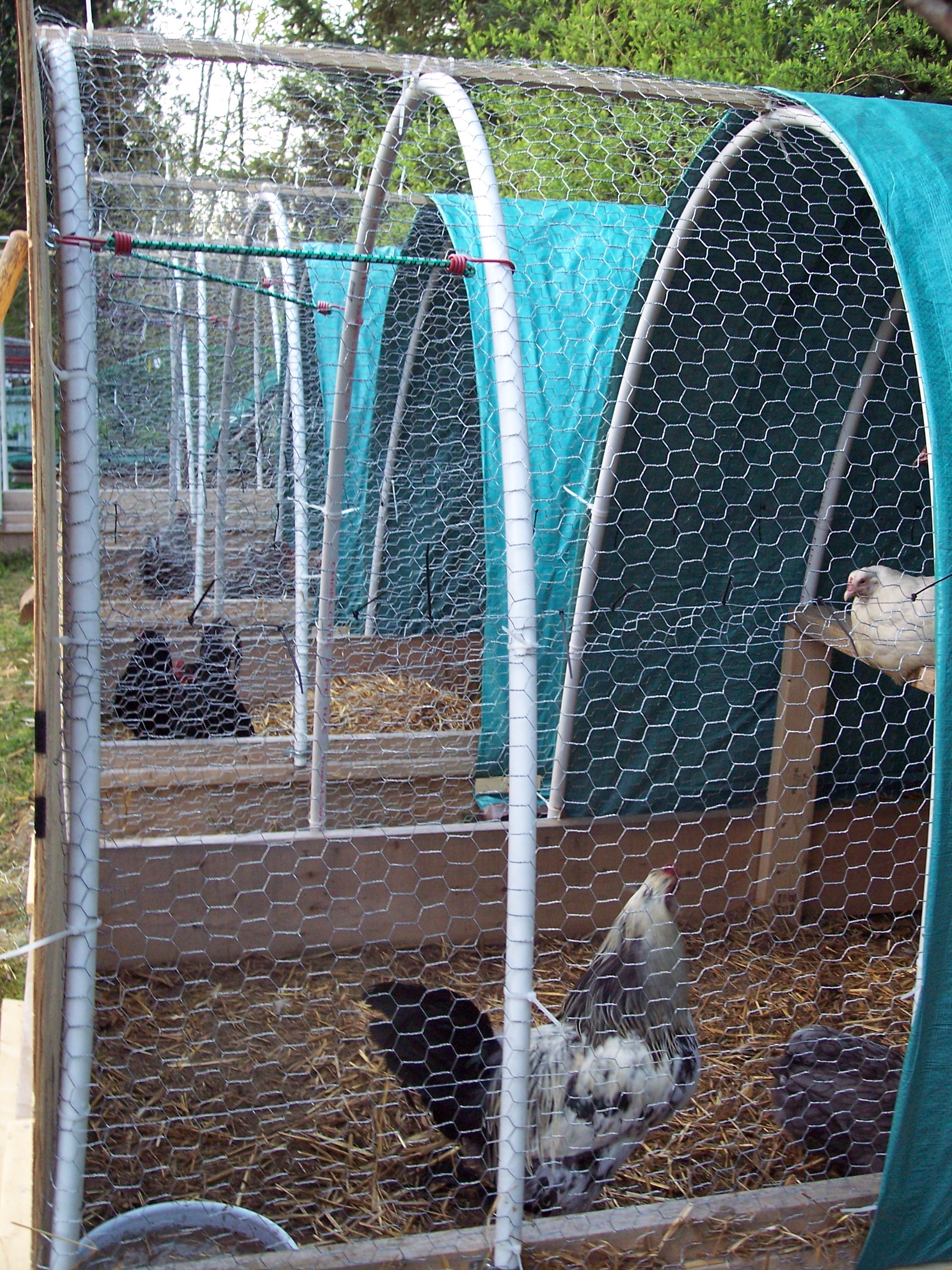 Poultry Breeding Pens | Fayrehale Farm: Gifts, Antiques, Christmas ...
